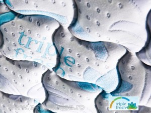 Saltea Therapy Plus Ametist | Saltele de LUX Calitate Superioara